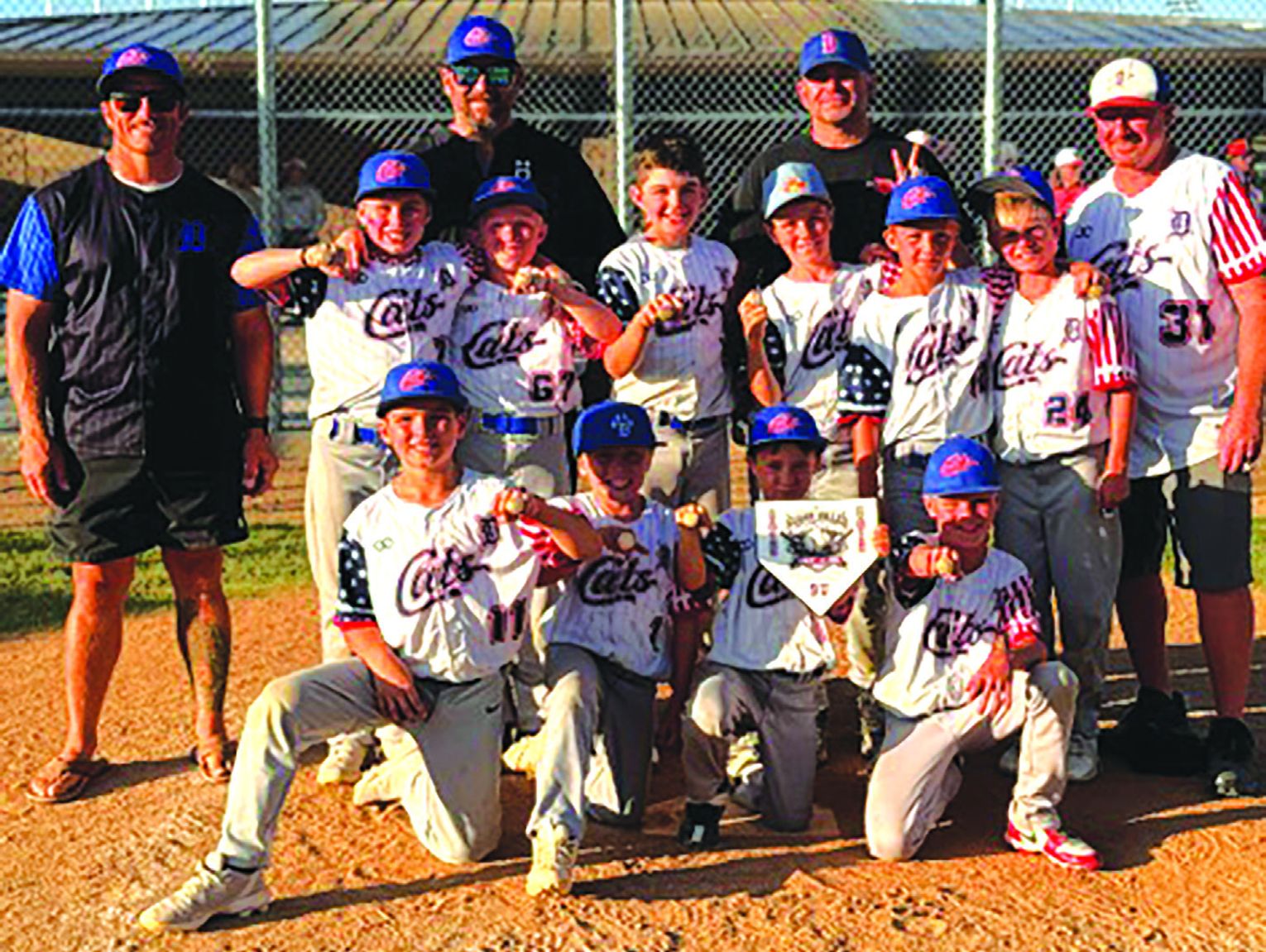 Cats Are Champs