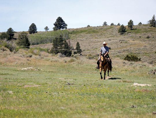 Doing (Duncan) Ranch Work: OECC does trail maintenance at popular ...